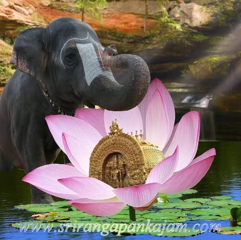 Sri Ranga Pankajam | "Be Divine Do Divinely"